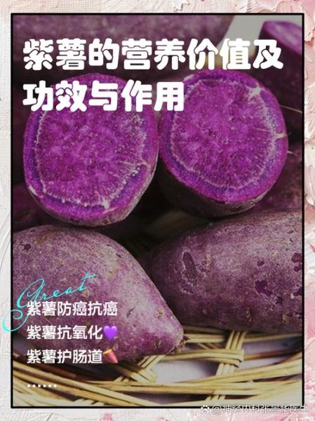 紫薯孕妇能吃吗_紫薯的功效与作用孕妇-第1张图片-山城妙识