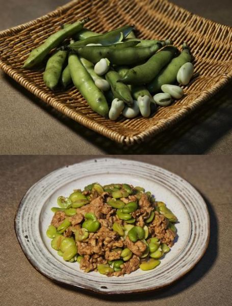 嫩蚕豆怎么做好吃_嫩蚕豆的家常做法大全-第3张图片-山城妙识