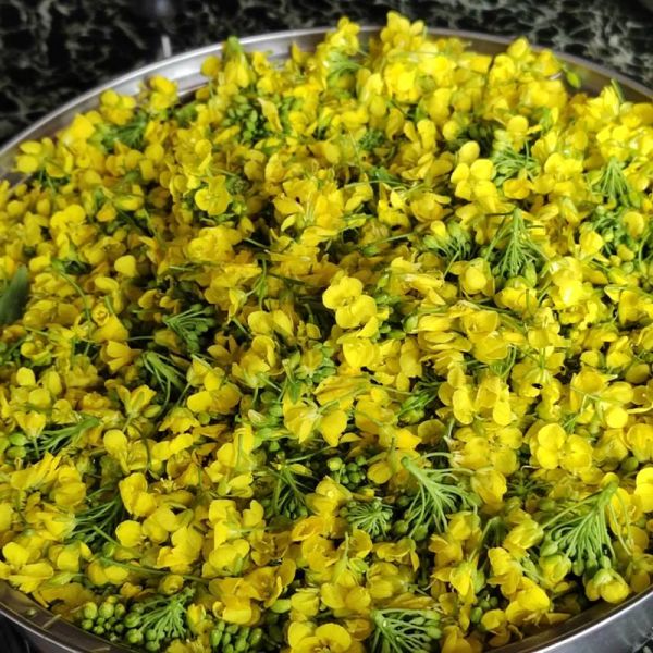 菜花饼怎么做好吃_菜花饼的家常做法-第1张图片-山城妙识