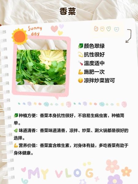 绿叶菜有哪些品种_怎么挑选更新鲜-第3张图片-山城妙识