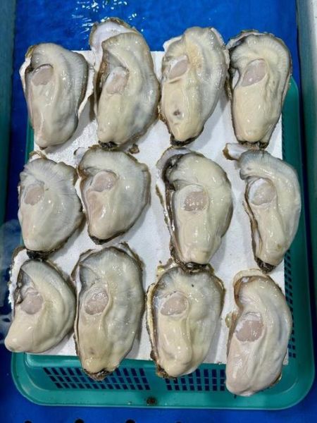 海蛎子怎么煮_海蛎子煮多久才熟-第2张图片-山城妙识 海蛎子怎么煮_海蛎子煮多久才熟-第2张图片-山城妙识