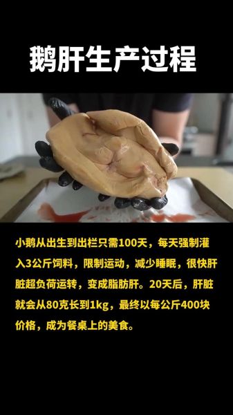 鹅肝真的残忍吗_鹅肝生产过程揭秘-第1张图片-山城妙识 鹅肝真的残忍吗_鹅肝生产过程揭秘-第1张图片-山城妙识