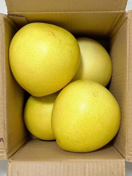 红心柚子图片大全_红心柚子怎么挑选-第1张图片-山城妙识