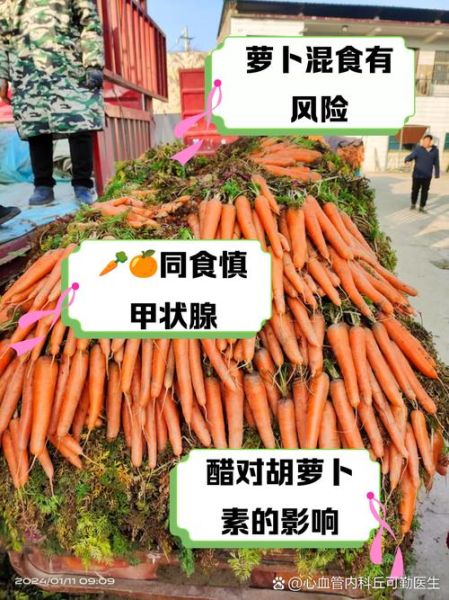 胡萝卜不能和什么一起吃_胡萝卜相克食物有哪些-第3张图片-山城妙识