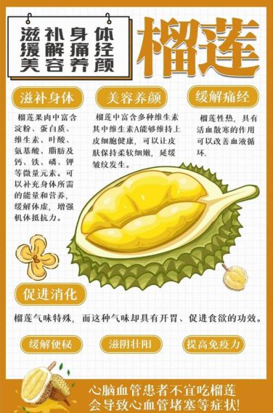 吃榴莲有什么好处_榴莲的功效与作用有哪些-第1张图片-山城妙识