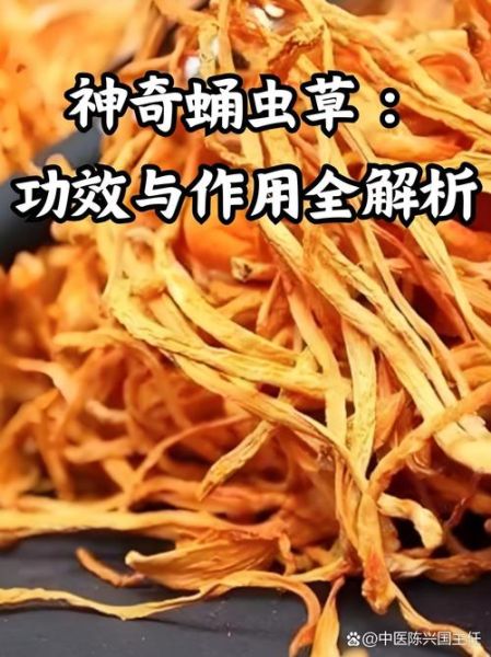 蛹虫草的功效与作用_蛹虫草怎么吃效果最好-第2张图片-山城妙识