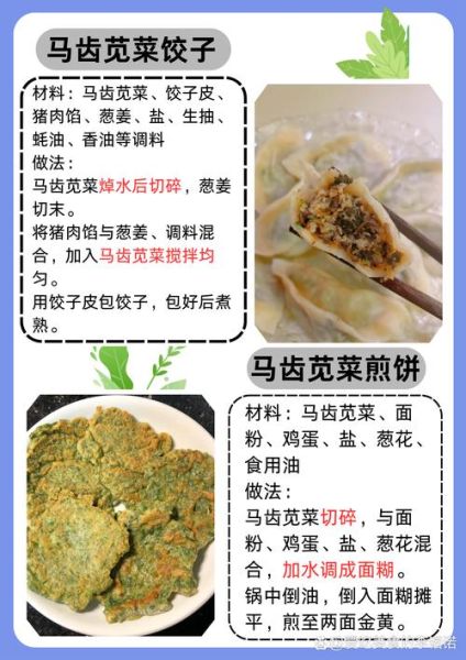 马齿苋怎么吃最好_马齿苋的吃法大全-第1张图片-山城妙识