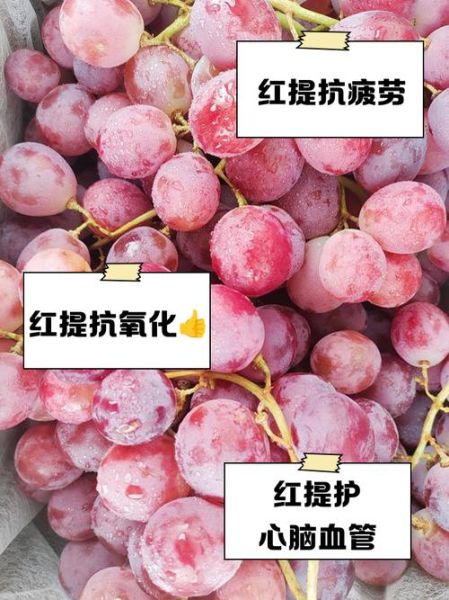 红提子的功效与禁忌_哪些人不能吃-第2张图片-山城妙识 红提子的功效与禁忌_哪些人不能吃-第2张图片-山城妙识