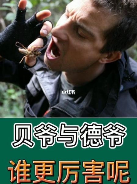 贝爷生存怎么玩_麻花游戏解说贝爷生存技巧-第1张图片-山城妙识