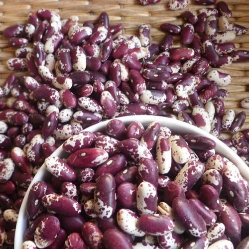 大黑花芸豆的功效与作用_怎么吃最有效-第3张图片-山城妙识 大黑花芸豆的功效与作用_怎么吃最有效-第3张图片-山城妙识