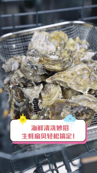 海贝的做法大全_海贝怎么清洗才干净-第2张图片-山城妙识 海贝的做法大全_海贝怎么清洗才干净-第2张图片-山城妙识