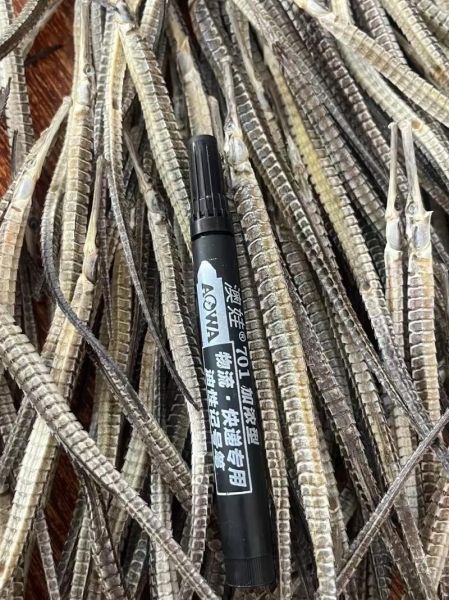 海龙的功效与作用价格_海龙多少钱一克-第2张图片-山城妙识