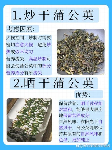 蒲公英怎么晒干_蒲公英晒干后怎么保存-第1张图片-山城妙识