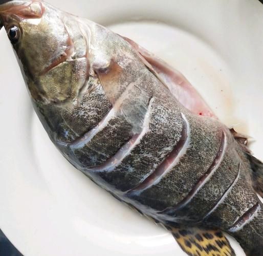 蒸鲑鱼要蒸多少分钟_蒸鲑鱼时间怎么掌握-第1张图片-山城妙识 蒸鲑鱼要蒸多少分钟_蒸鲑鱼时间怎么掌握-第1张图片-山城妙识