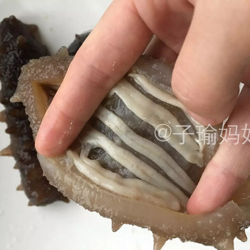 鲜海参怎么泡发最好_海参泡发全过程-第3张图片-山城妙识 鲜海参怎么泡发最好_海参泡发全过程-第3张图片-山城妙识