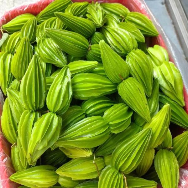 野苦瓜的功效与作用_野苦瓜怎么吃降血糖-第3张图片-山城妙识