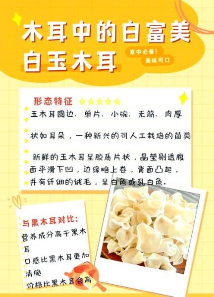 白玉木耳的功效与作用_白玉木耳怎么吃最好-第1张图片-山城妙识