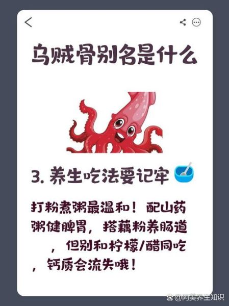 乌贼骨别名是什么_乌贼骨功效与作用有哪些-第1张图片-山城妙识