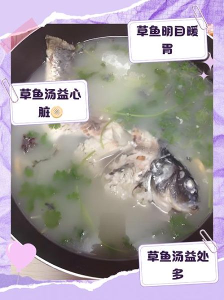孕妇可以喝草鱼汤吗_草鱼汤的做法孕妇版-第1张图片-山城妙识 孕妇可以喝草鱼汤吗_草鱼汤的做法孕妇版-第1张图片-山城妙识