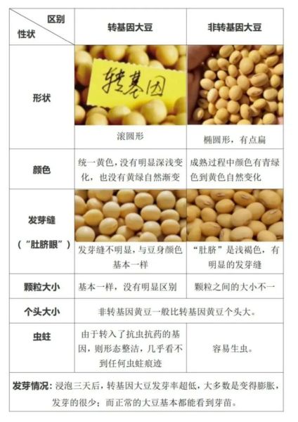 转基因大豆和非转基因大豆的区别_哪个更安全-第1张图片-山城妙识 转基因大豆和非转基因大豆的区别_哪个更安全-第1张图片-山城妙识