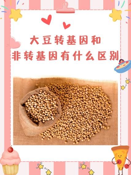 转基因大豆和非转基因大豆的区别_哪个更安全-第2张图片-山城妙识 转基因大豆和非转基因大豆的区别_哪个更安全-第2张图片-山城妙识