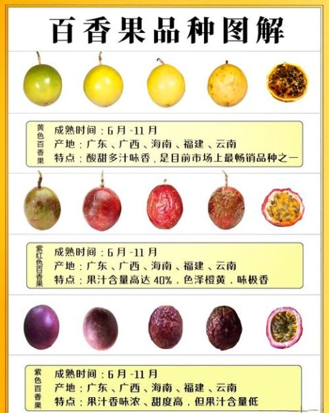 百香果的籽能吃吗_百香果籽的功效与作用-第1张图片-山城妙识