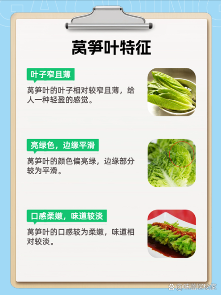 莴苣叶子是油麦菜吗_区别与选购技巧-第3张图片-山城妙识 莴苣叶子是油麦菜吗_区别与选购技巧-第3张图片-山城妙识