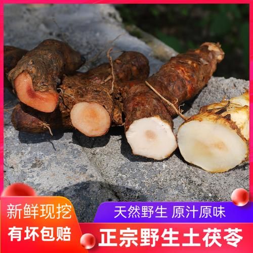 鲜土茯苓长什么样_鲜土茯苓怎么辨别真假-第2张图片-山城妙识