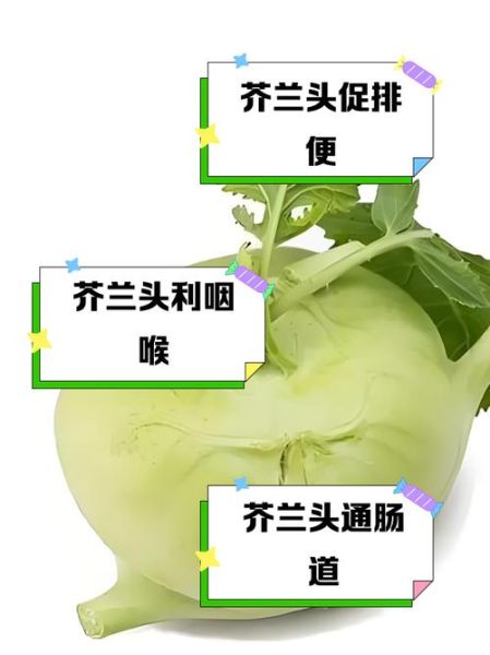 芥兰头的功效与禁忌_什么人不能吃-第1张图片-山城妙识