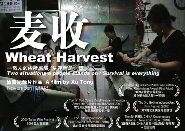 麦片好剧网电影怎么免费看_麦片好剧网最新电影有哪些-第1张图片-山城妙识