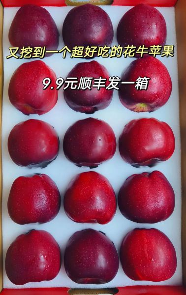 蛇果多少钱一斤_蛇果价格行情-第2张图片-山城妙识