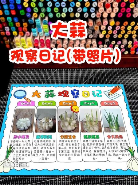 蒜苗怎么种_蒜苗种植技术视频-第2张图片-山城妙识