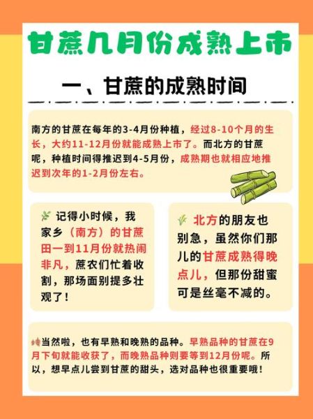 甘蔗到底读几声_甘蔗正确读音是什么-第1张图片-山城妙识