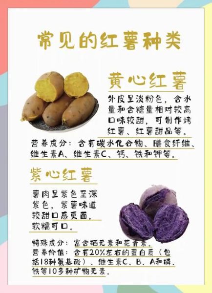 红薯的营养价值及功效与作用禁忌_红薯吃多了有什么坏处-第1张图片-山城妙识