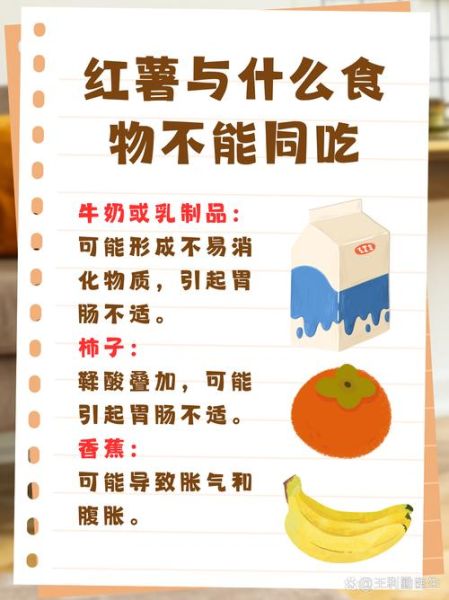 红薯的营养价值及功效与作用禁忌_红薯吃多了有什么坏处-第2张图片-山城妙识