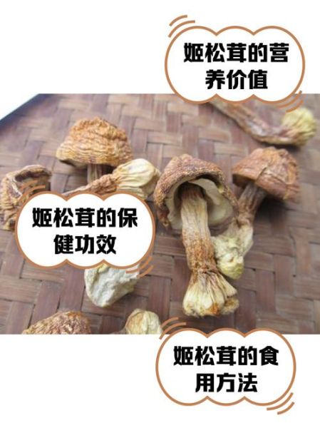 松茸菇怎么保存_松茸菇多少钱一斤-第3张图片-山城妙识