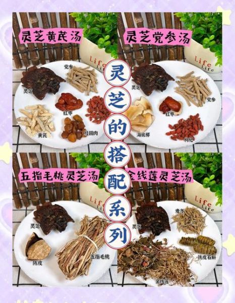 灵芝怎么吃效果最好_灵芝一天吃多少克-第2张图片-山城妙识