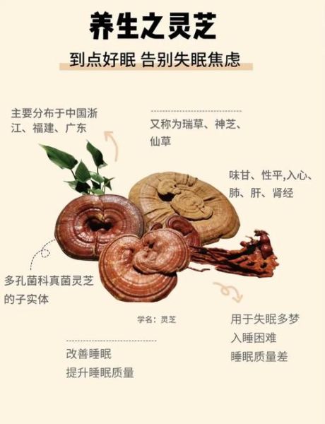 灵芝怎么吃效果最好_灵芝一天吃多少克-第3张图片-山城妙识