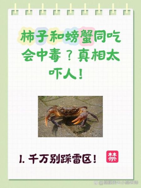 吃柿子不能吃什么东西_吃柿子后多久能吃螃蟹-第1张图片-山城妙识 吃柿子不能吃什么东西_吃柿子后多久能吃螃蟹-第1张图片-山城妙识