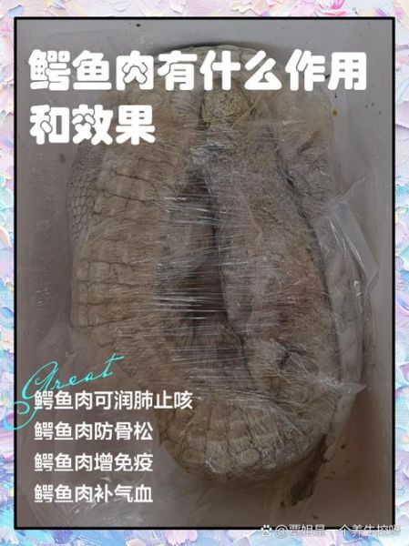 鳄鱼肉怎么吃_鳄鱼肉营养价值-第2张图片-山城妙识