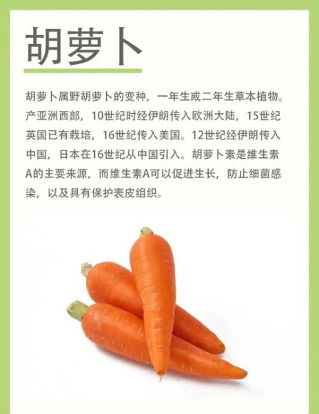 胡萝卜的营养价值_胡萝卜的功效与作用-第1张图片-山城妙识
