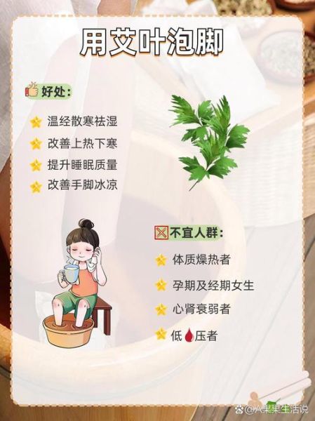 艾叶泡脚的功效与作用_艾叶能天天用吗-第1张图片-山城妙识