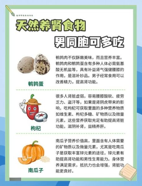 补肾吃什么最好_肾虚吃什么食物最补-第2张图片-山城妙识