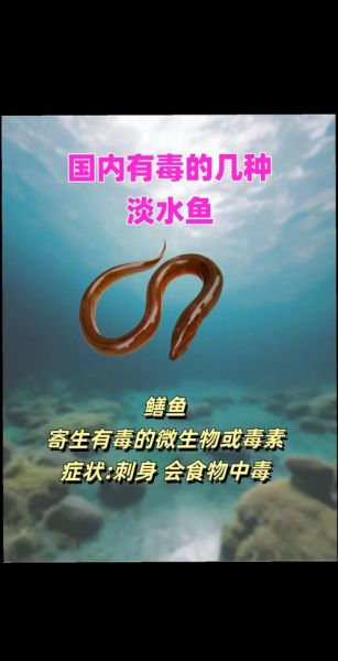 致癌最多的三种鱼有哪些_如何避开-第1张图片-山城妙识