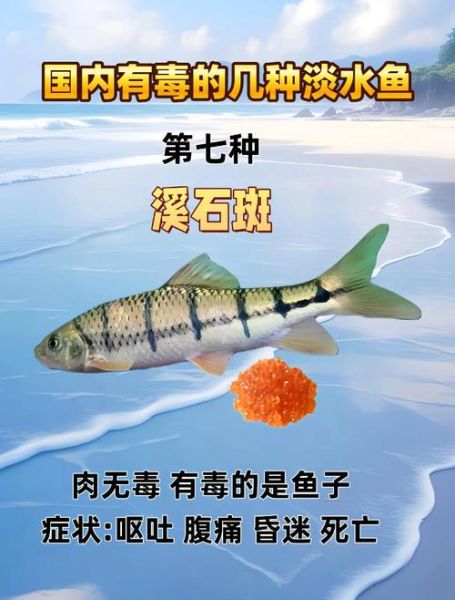 致癌最多的三种鱼有哪些_如何避开-第3张图片-山城妙识