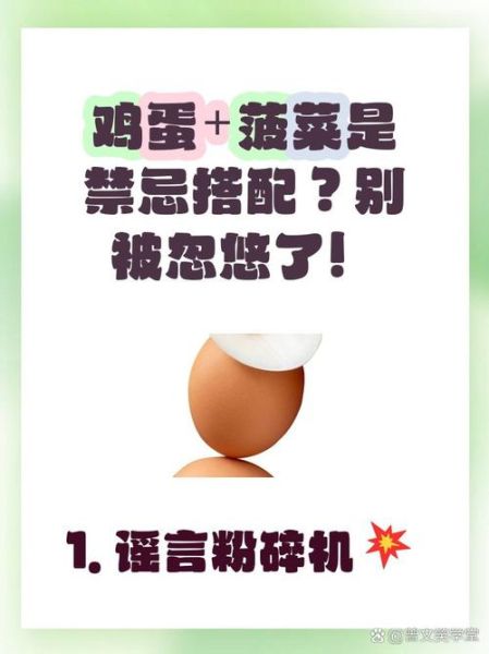 菠菜和鸡蛋可以一起吃吗_菠菜鸡蛋相克真相-第1张图片-山城妙识