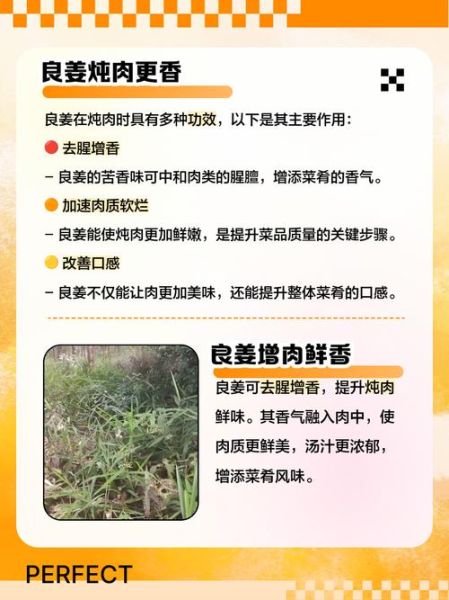 良姜在炖肉起什么作用_良姜炖肉有什么好处-第1张图片-山城妙识