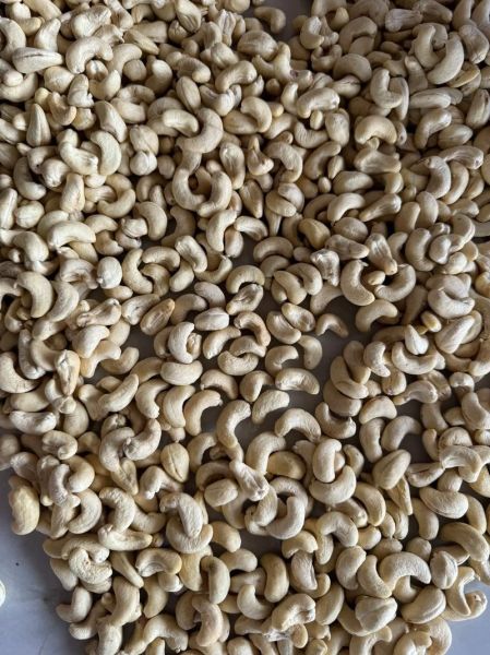 腰果多少钱一斤2021_2021年腰果价格走势-第2张图片-山城妙识