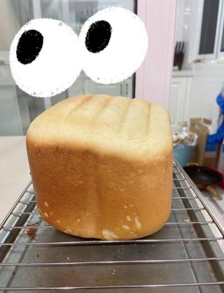 东菱面包机做吐司要多久_东菱面包机食谱新手版-第3张图片-山城妙识