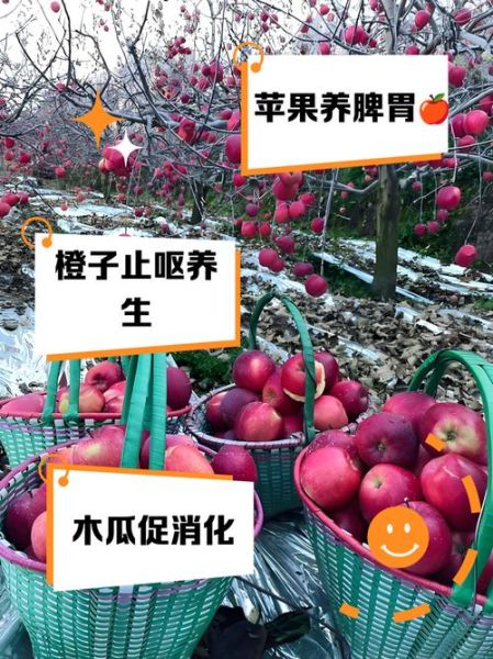 去湿气吃什么食物和水果_湿气重吃什么水果好-第3张图片-山城妙识 去湿气吃什么食物和水果_湿气重吃什么水果好-第3张图片-山城妙识